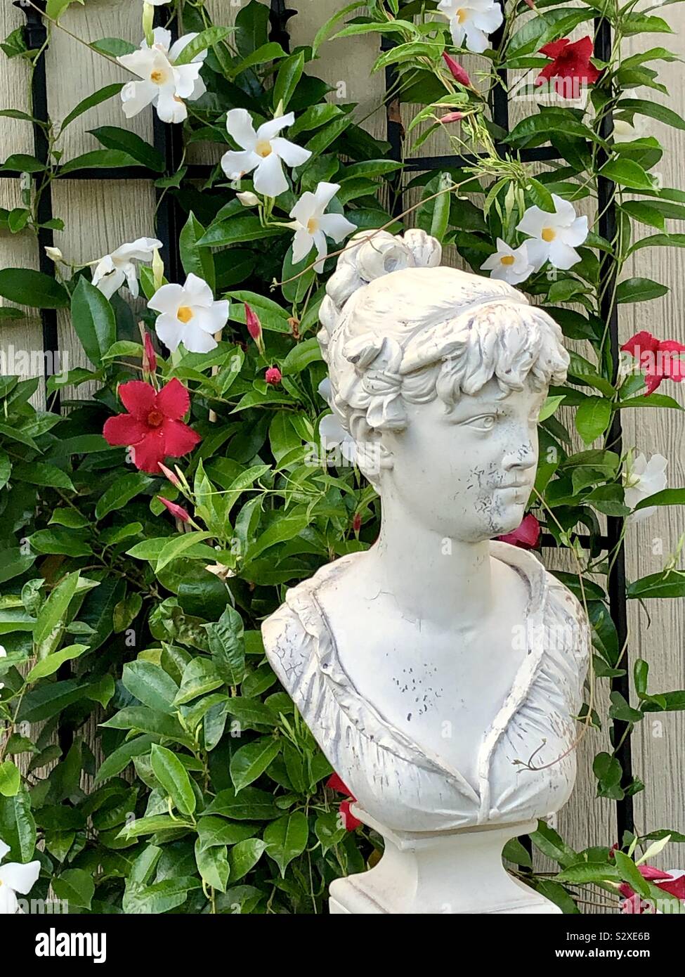 Outdoor bust garden Stock Photo - Alamy