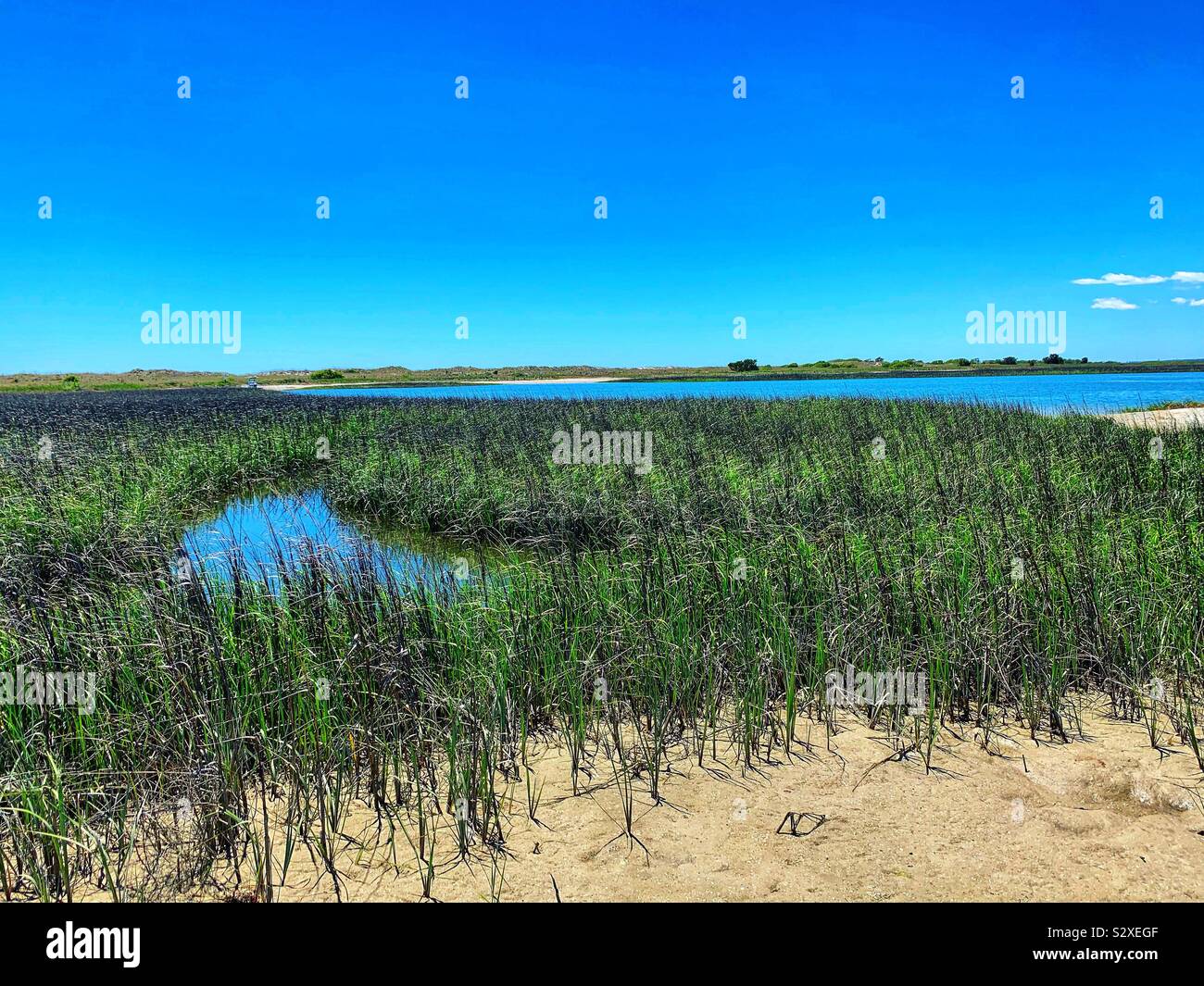 Masonboro hi-res stock photography and images - Alamy