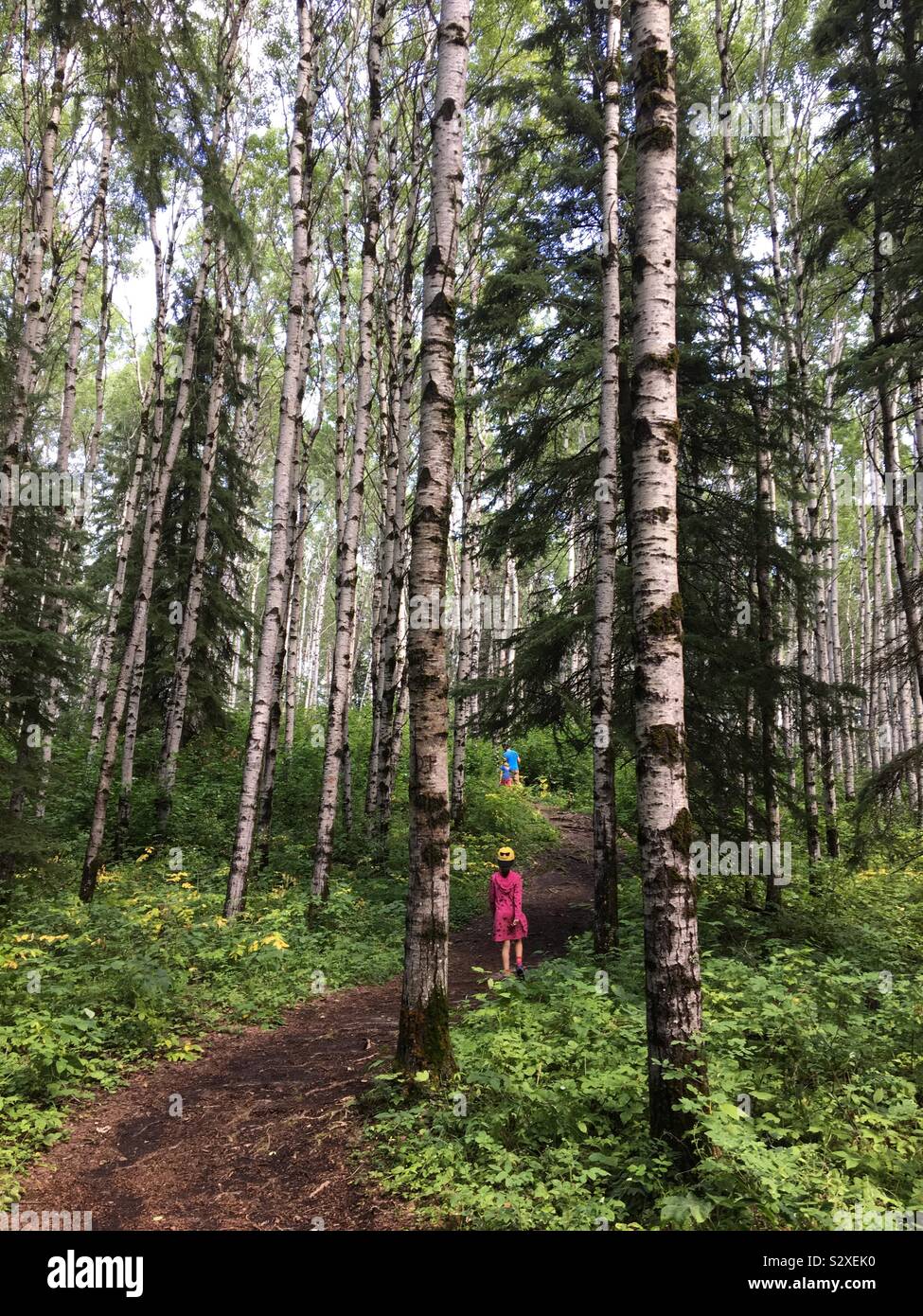 Prince albert national park hi-res stock photography and images - Alamy