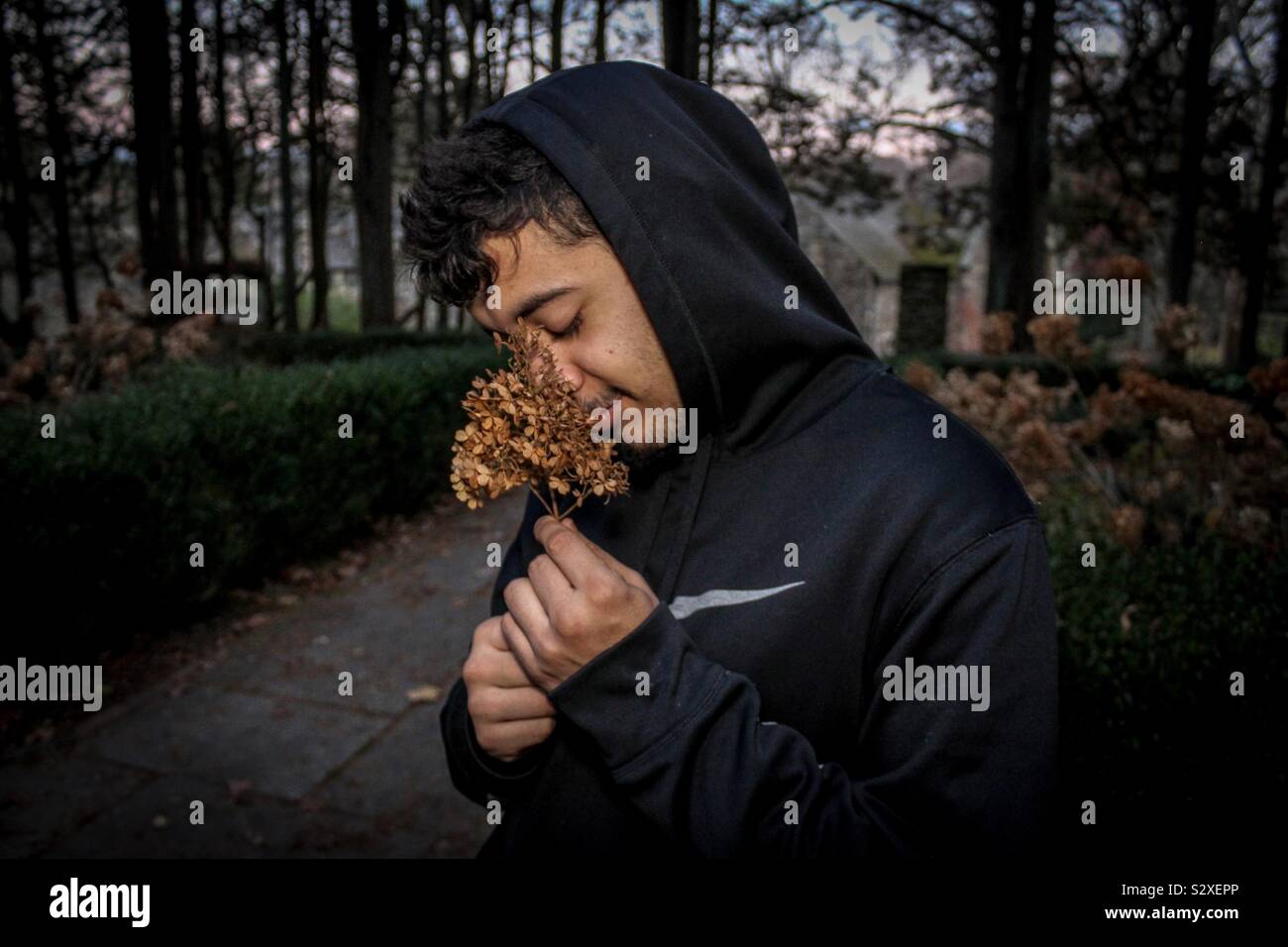 Spring until autumn hi-res stock photography and images - Alamy