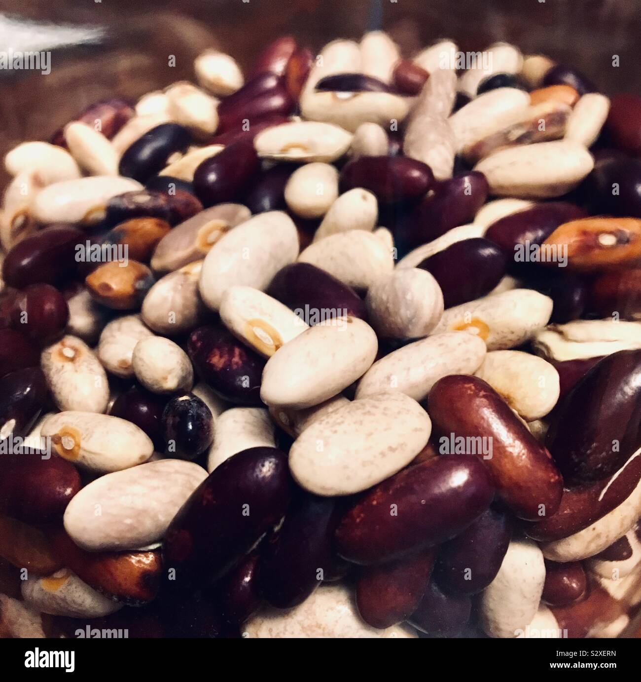 Sustainable beans hi-res stock photography and images - Alamy