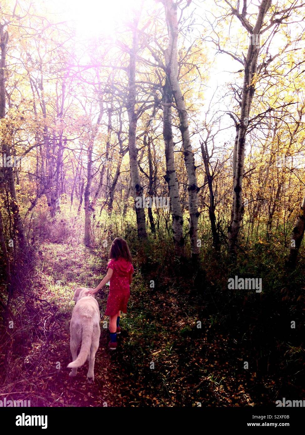 Child nature hi-res stock photography and images - Alamy