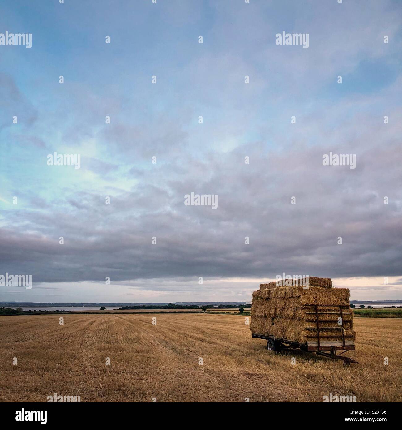 Hay wain hi-res stock photography and images - Alamy