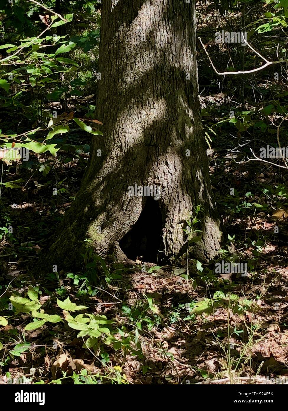 Hobbit land hi-res stock photography and images - Alamy