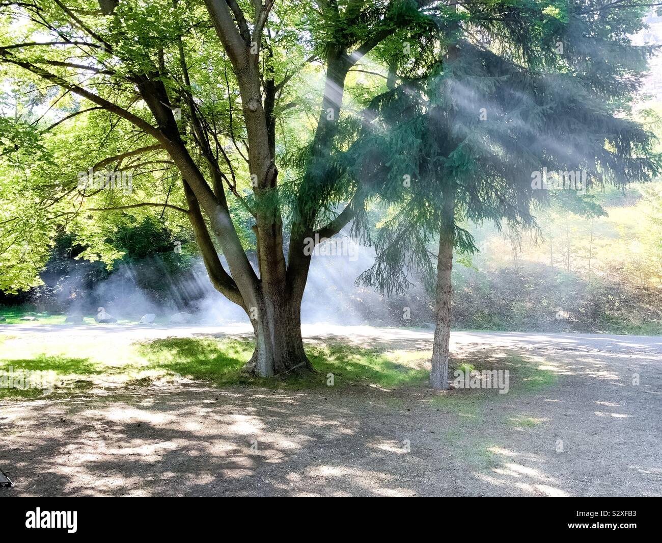 Smoke from campfire hi-res stock photography and images - Alamy