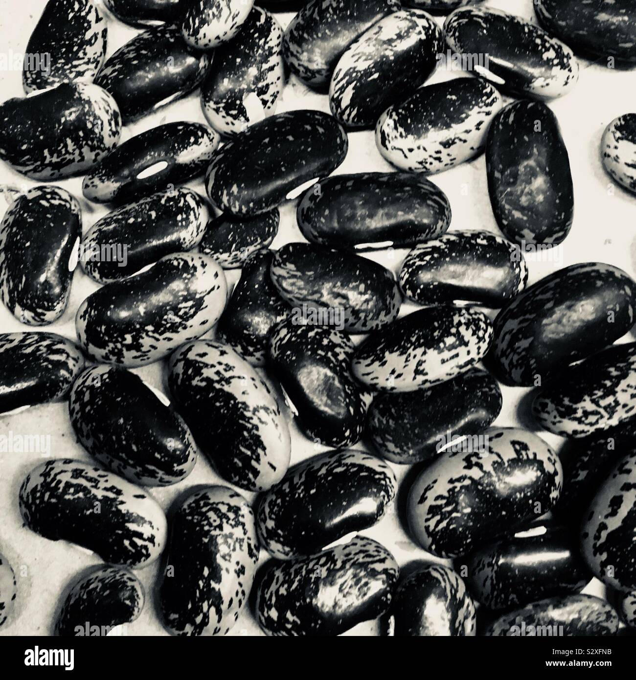Scarlet runner beans hi-res stock photography and images - Alamy