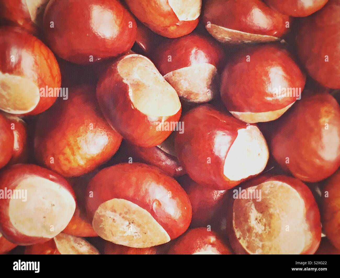 Shiny seed hi-res stock photography and images - Alamy