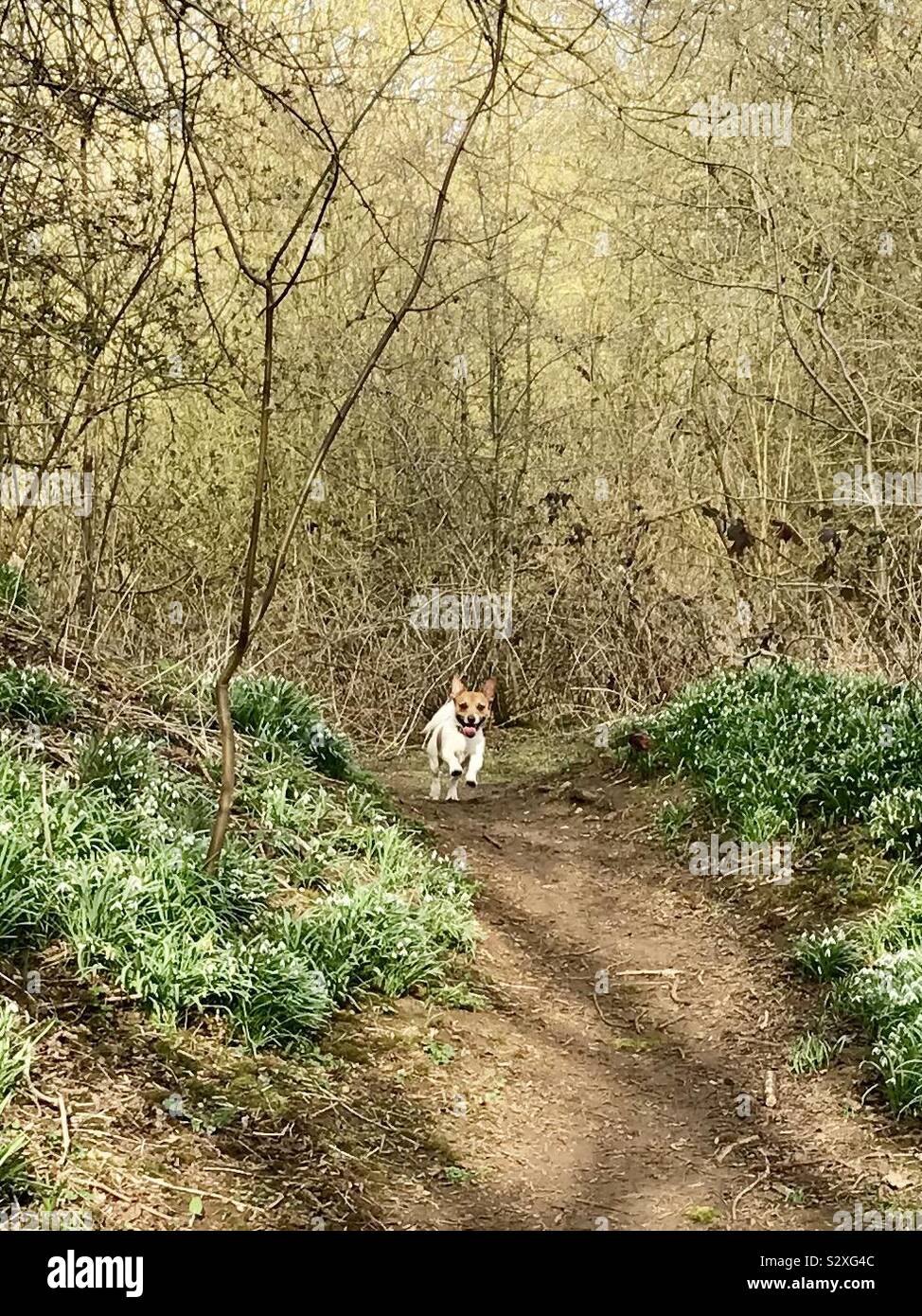 Pocket rocket hi-res stock photography and images - Alamy