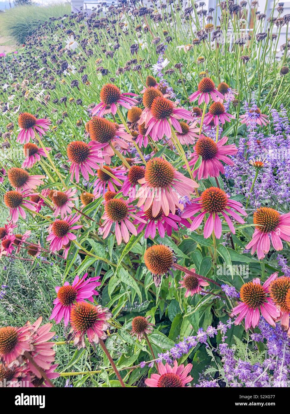 Spring is around the corner hi-res stock photography and images - Alamy