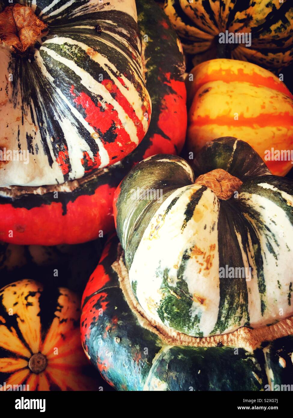 Unusual Fall Colors High Resolution Stock Photography and Images - Alamy