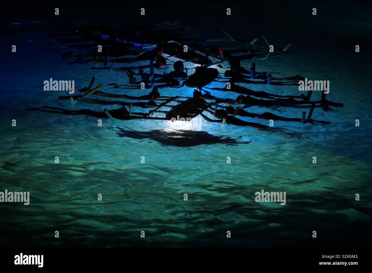 Manta ray group hi-res stock photography and images - Alamy