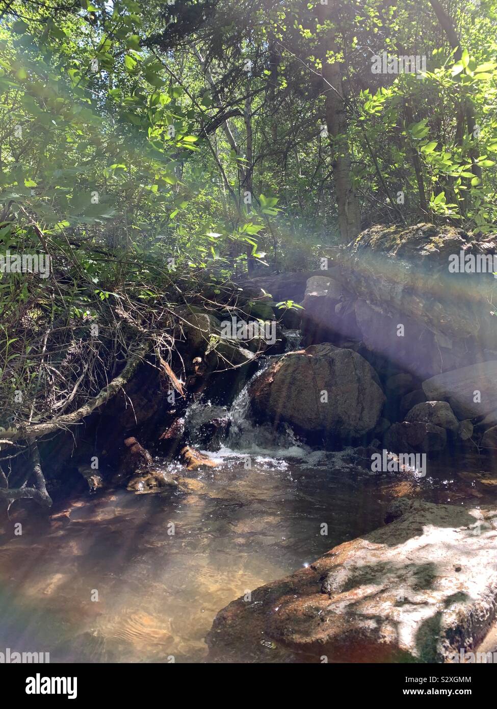 Creek hot summer cool creek hi-res stock photography and images - Alamy
