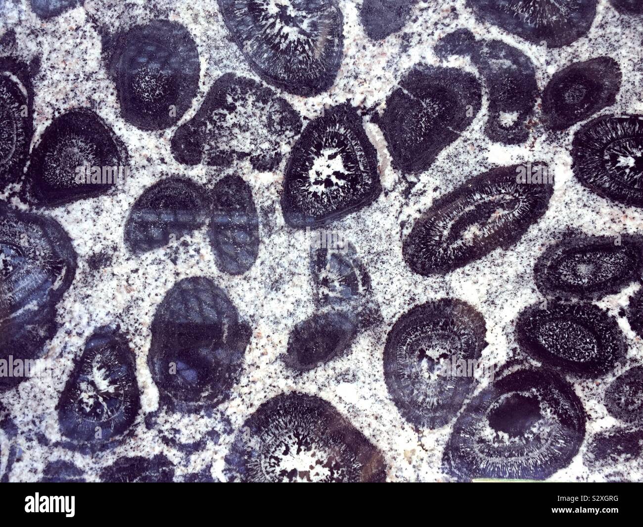 Orbicular granite hi-res stock photography and images - Alamy