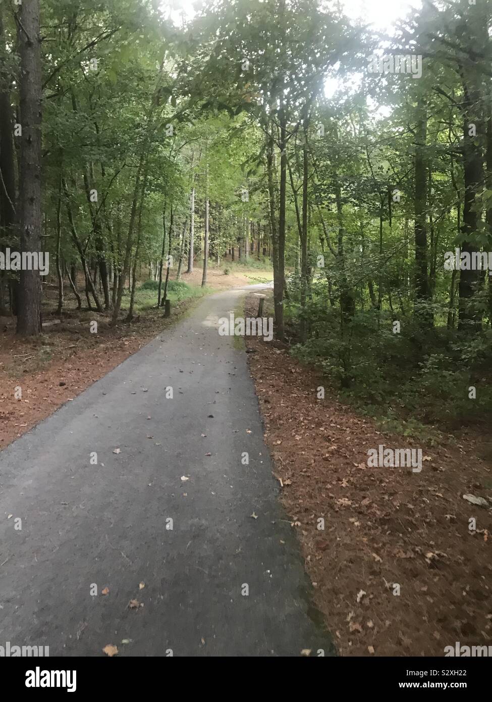 Path Through Woods Stock Photo - Alamy