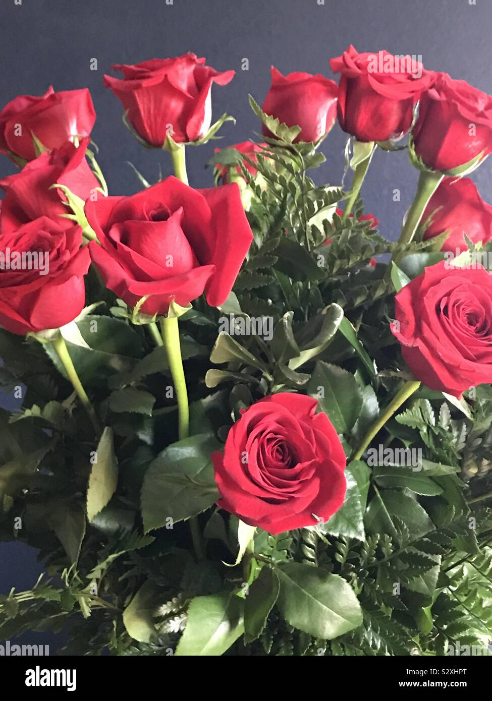 Navy blue paint hi-res stock photography and images - Alamy