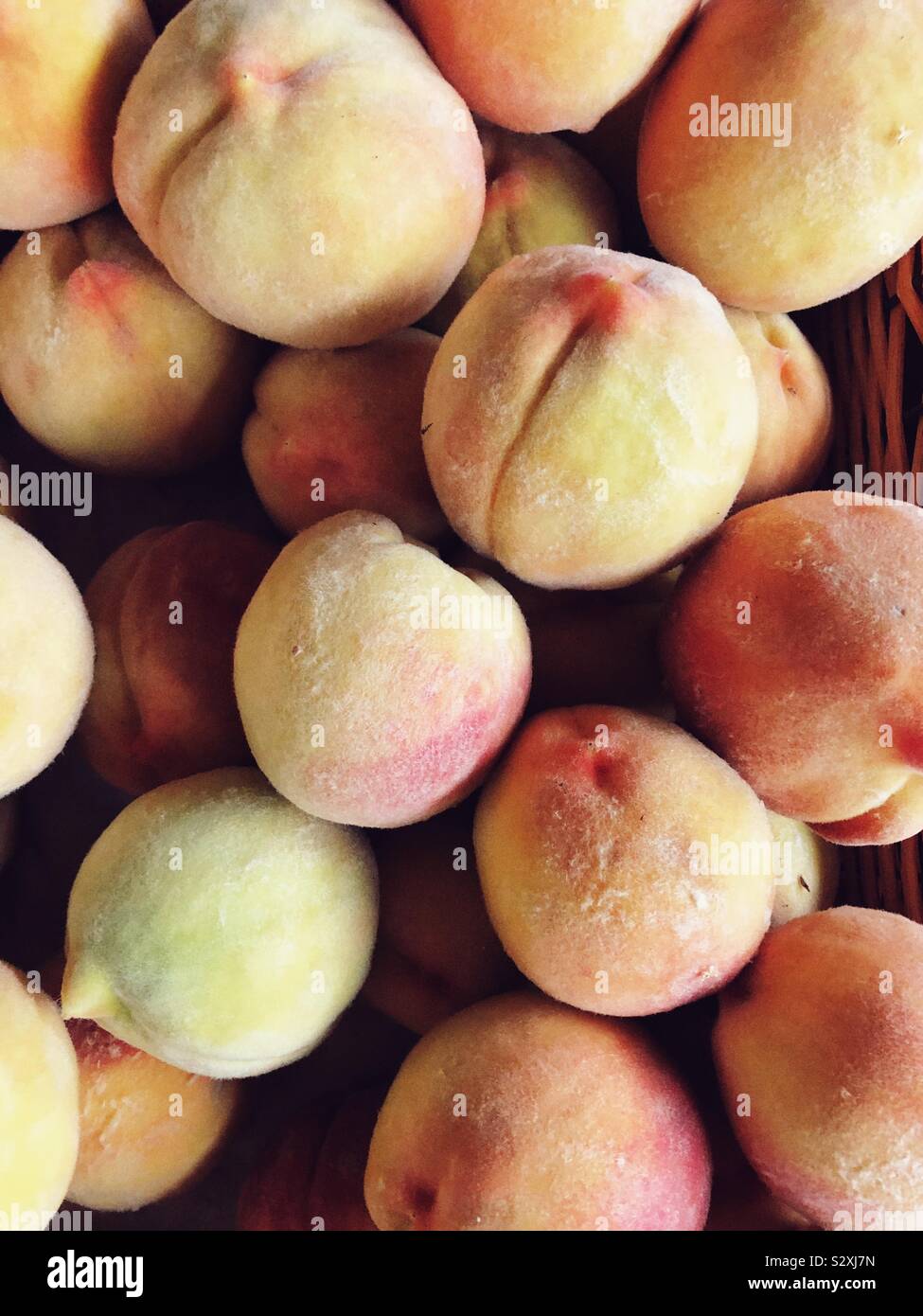 peaches freshly picked in the boxes Stock Photo - Alamy