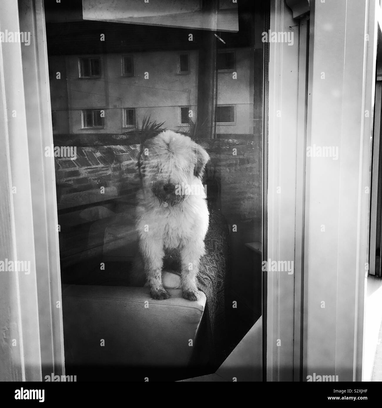 Images inside hi-res stock photography and images - Alamy