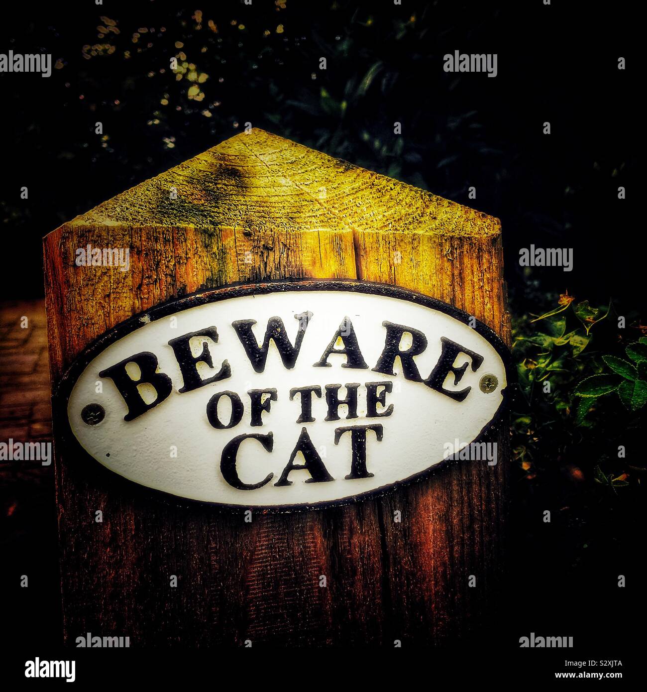 Beware of the cat warning sign Stock Photo - Alamy