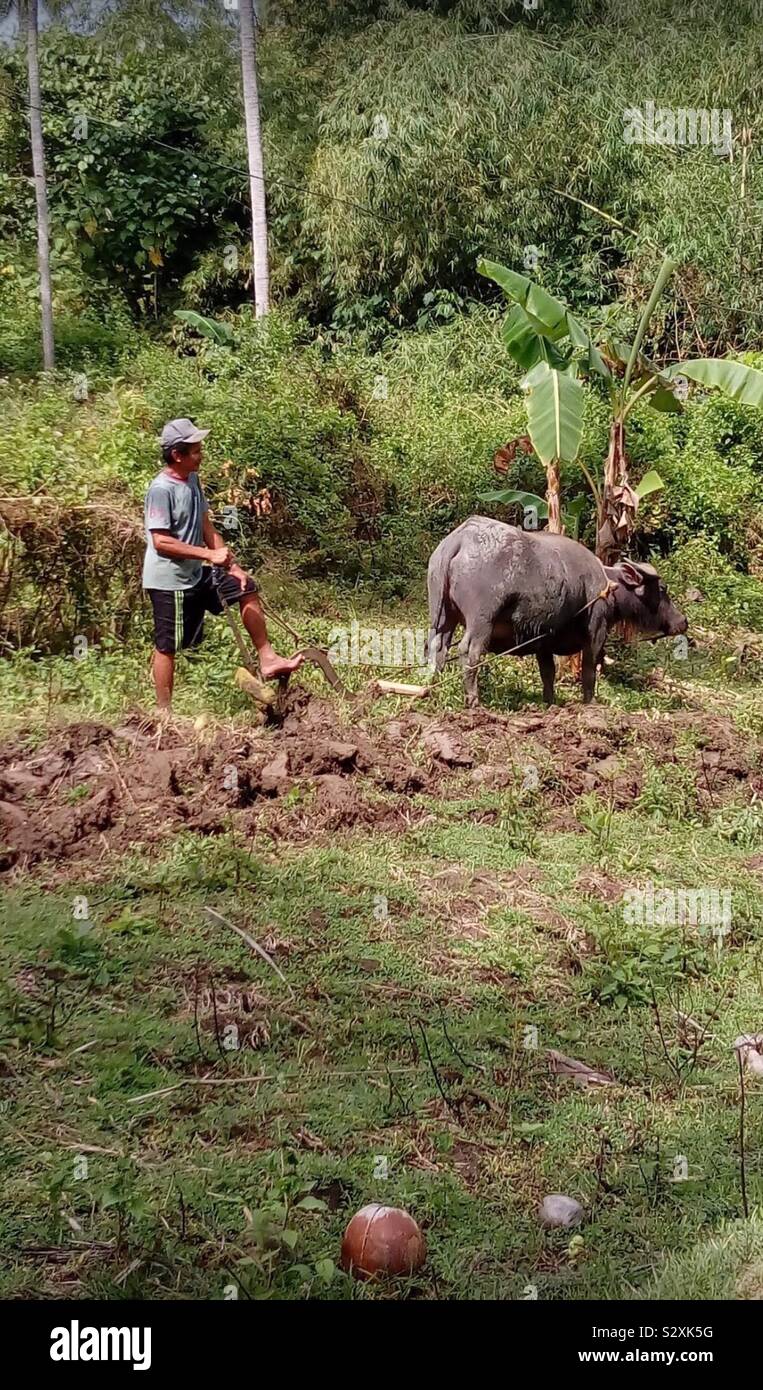 Philipino hi-res stock photography and images - Alamy