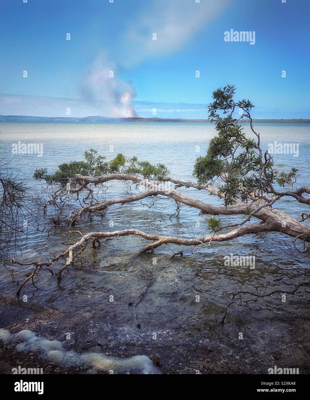 Bushfire Over /Across the Lake Stock Photo - Alamy