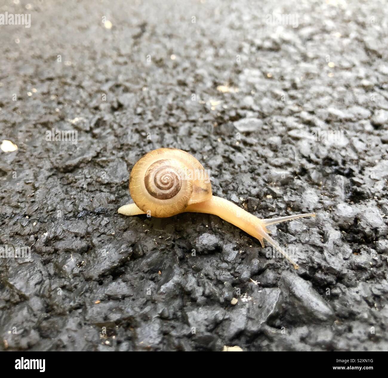 Keep It Slow And Steady High Resolution Stock Photography and Images ...