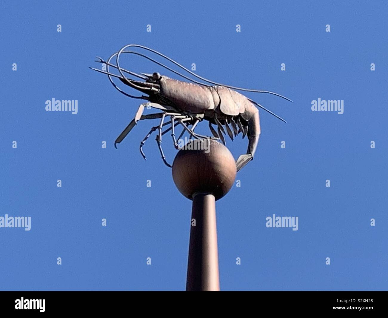 Prawn sculpture hi-res stock photography and images - Alamy