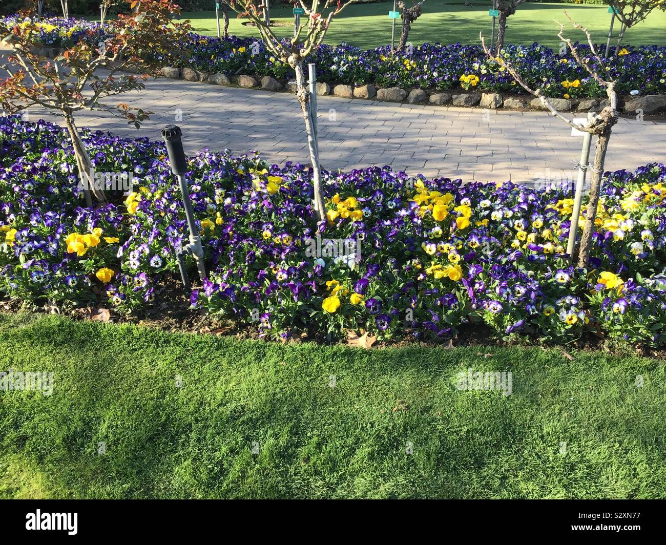 Nice flowers hi-res stock photography and images - Alamy