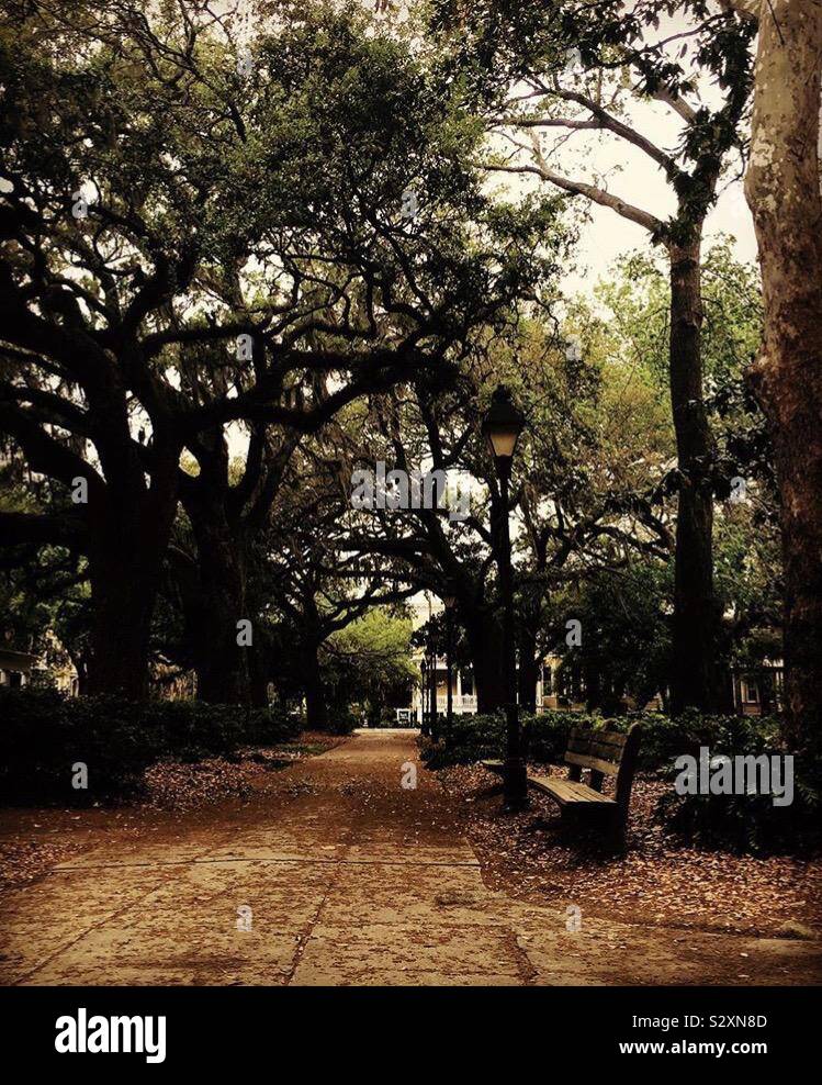 Forsythpark hi-res stock photography and images - Alamy