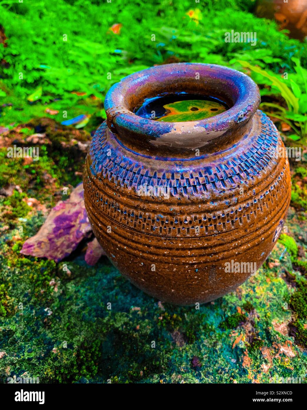 Pot in an outdoor garden Stock Photo - Alamy