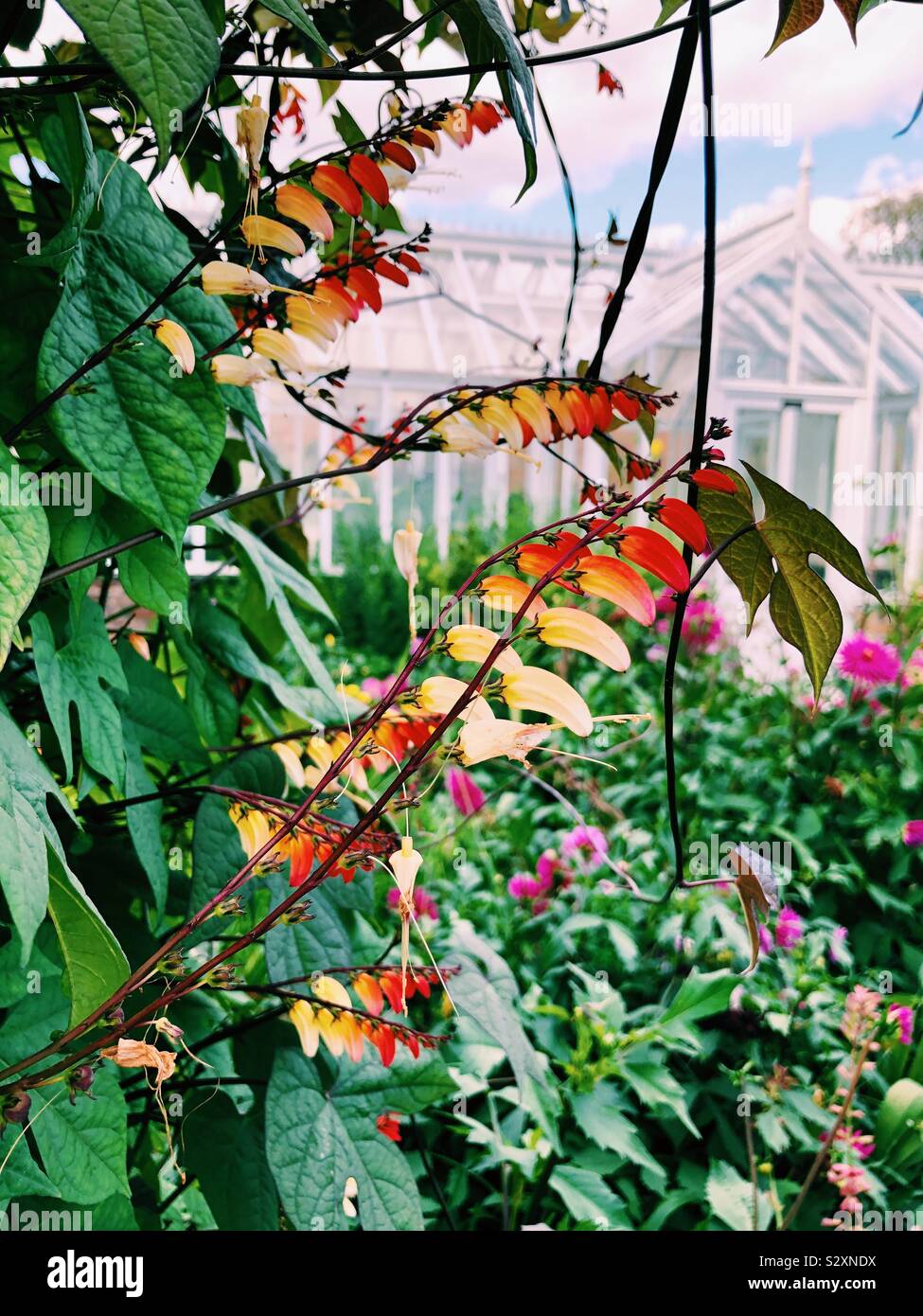 Gradient colour hi-res stock photography and images - Alamy