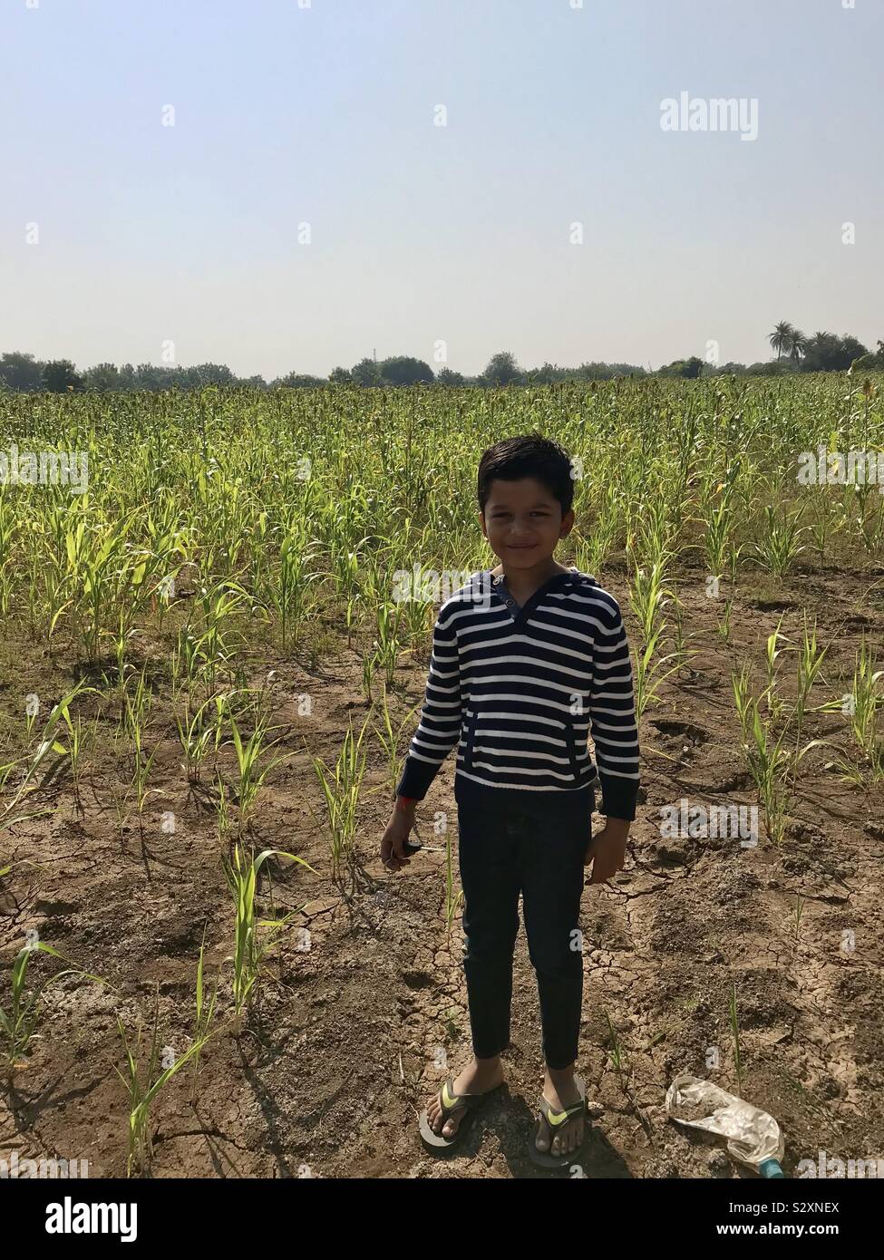 Boy exploring form land Stock Photo - Alamy