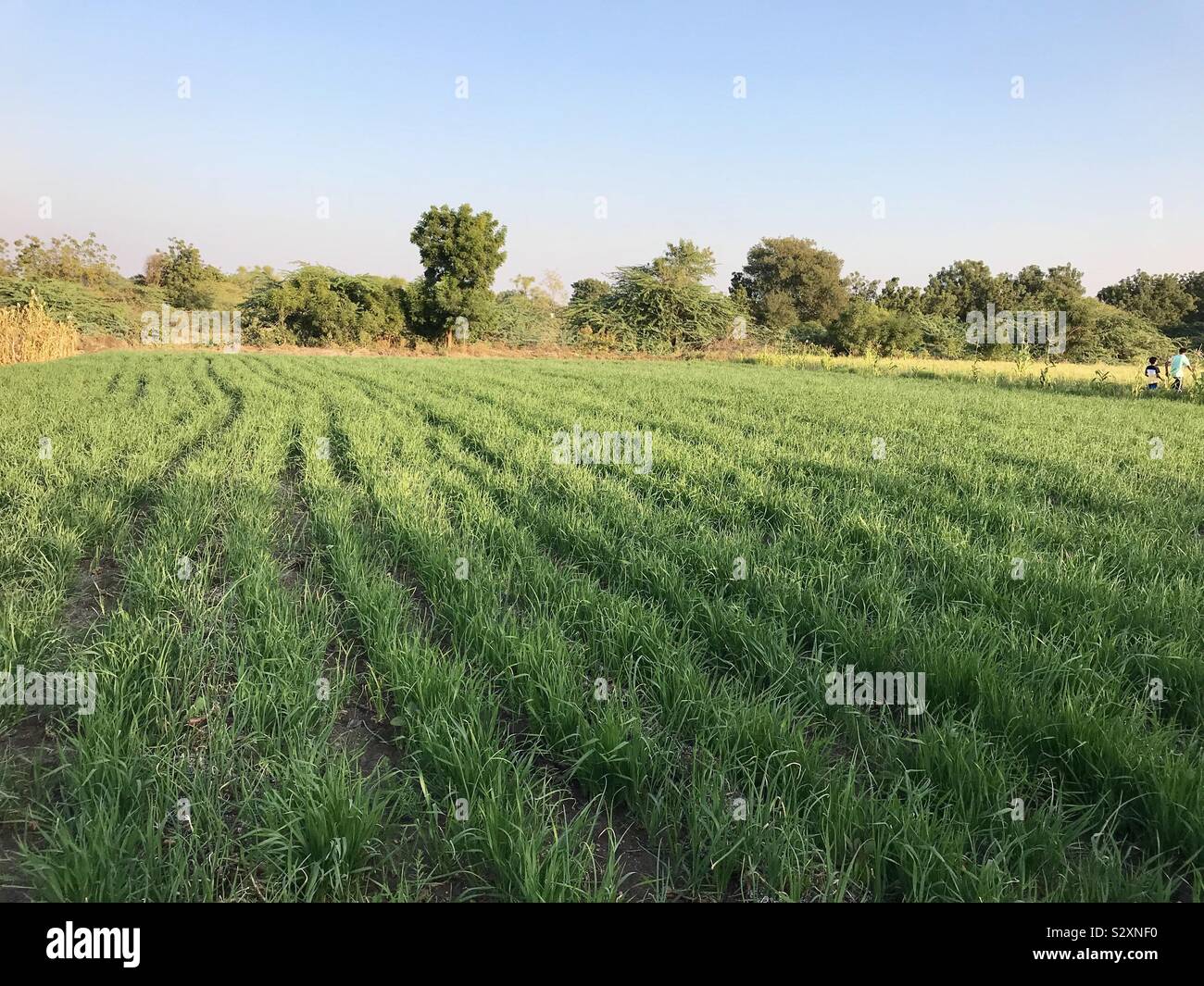 Form house hi-res stock photography and images - Alamy