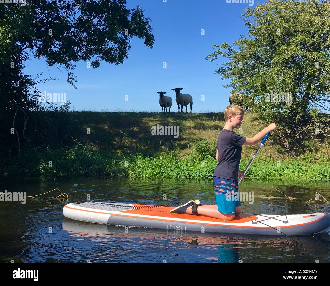 River paddleboarding hi-res stock photography and images - Alamy