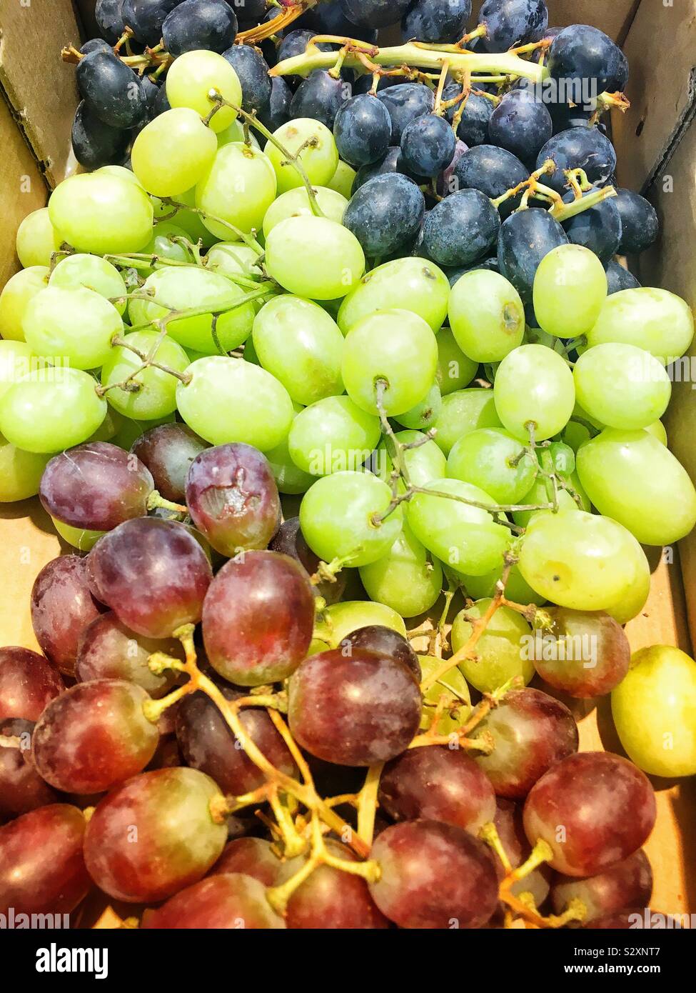 Grapes in the box hi-res stock photography and images - Alamy