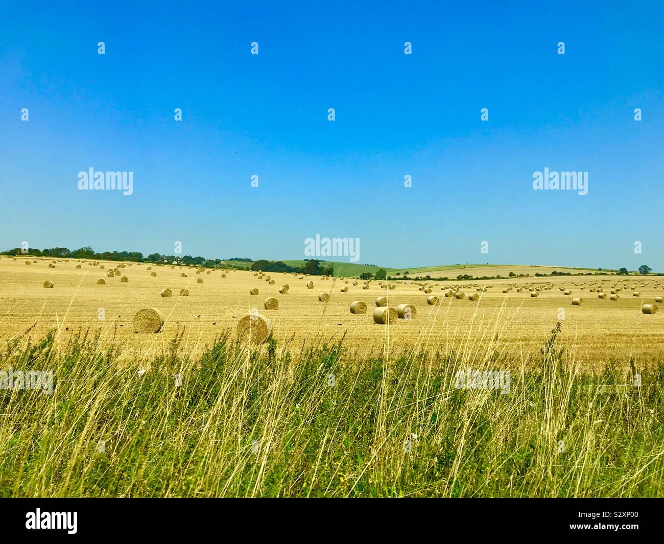 Farmland after late summer harvesting of crops, southern England, UK ...
