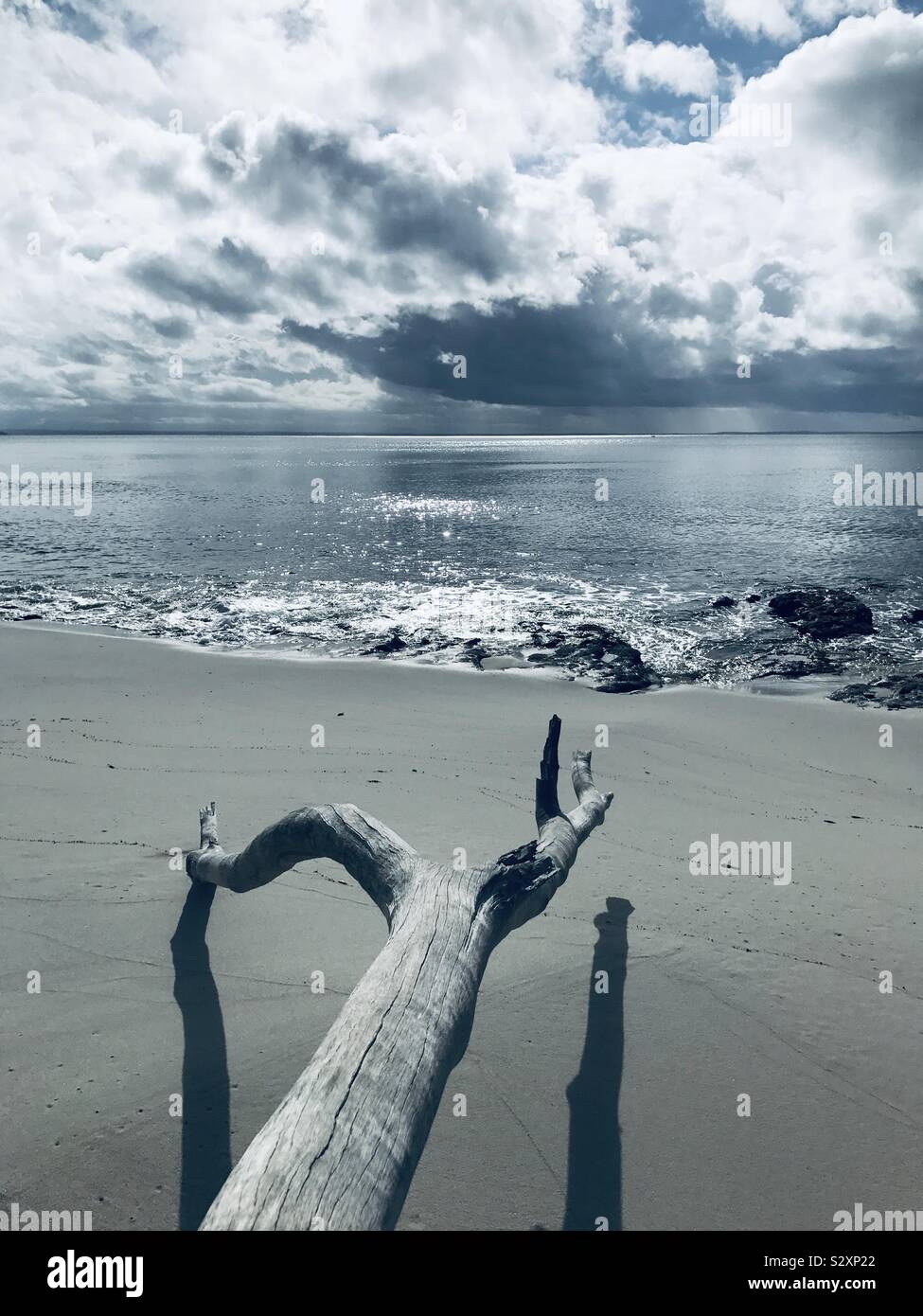 Log on beach hi-res stock photography and images - Alamy
