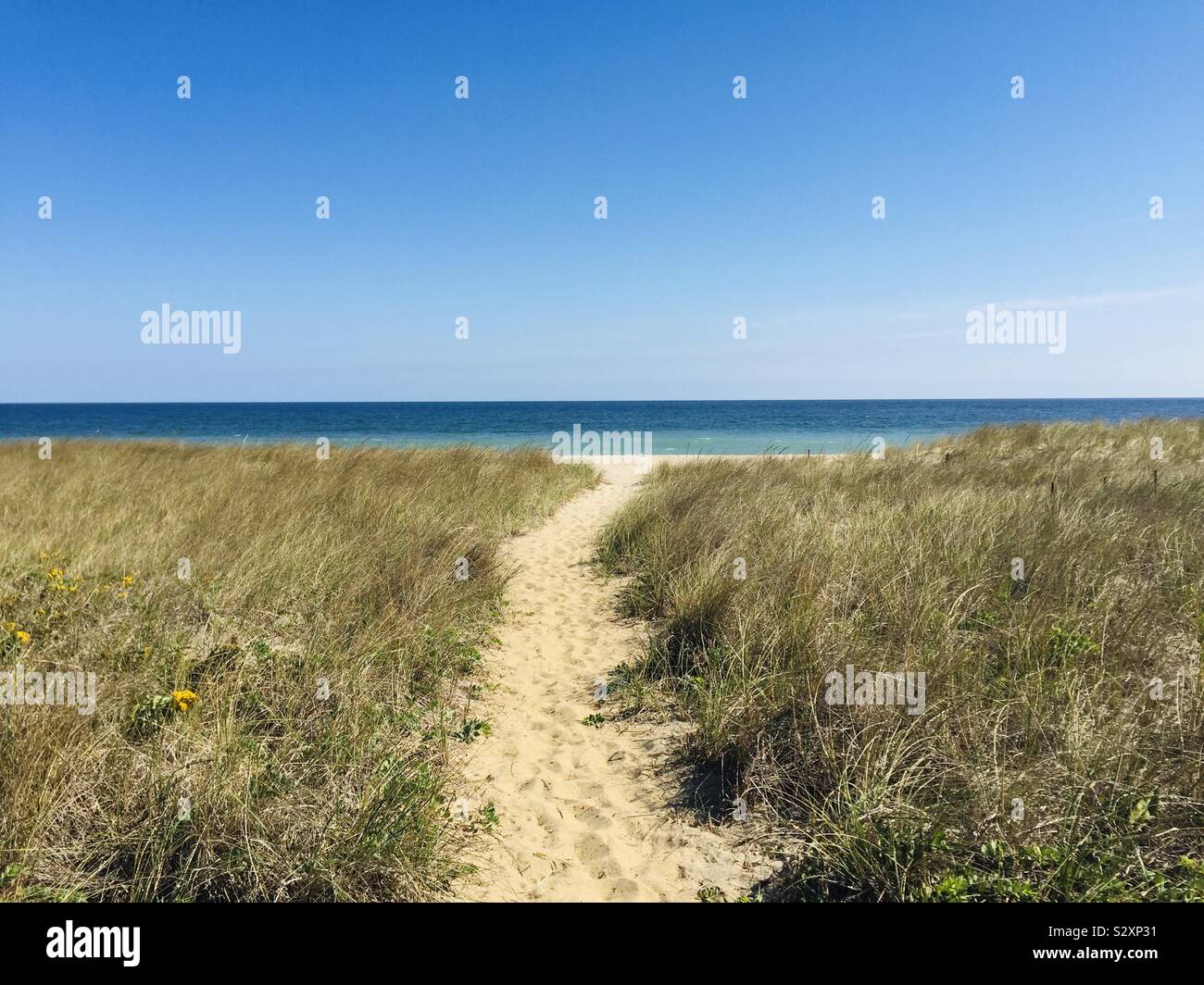 Sandy path to a beach Stock Photo - Alamy