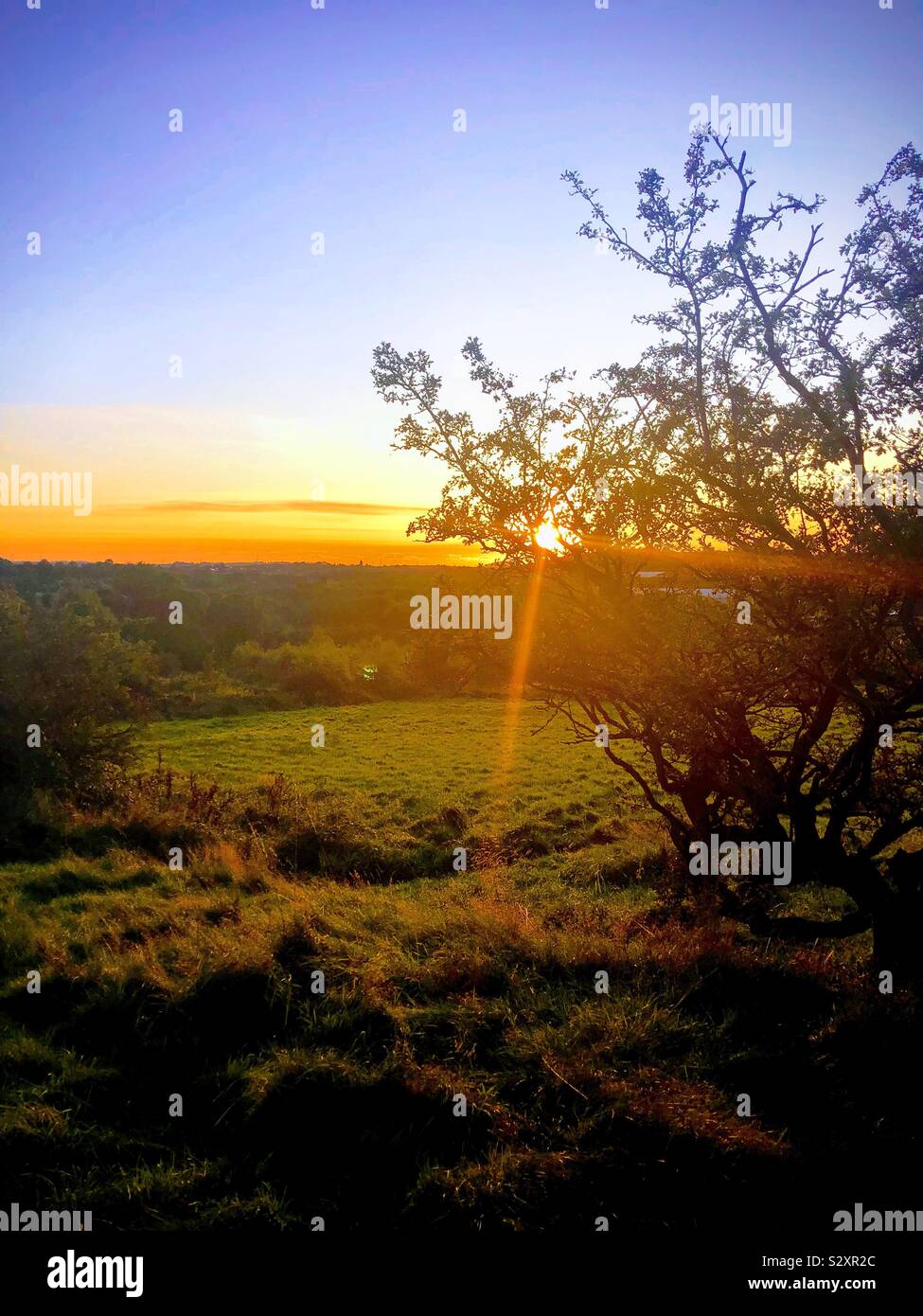 Setting winter sun hi-res stock photography and images - Alamy