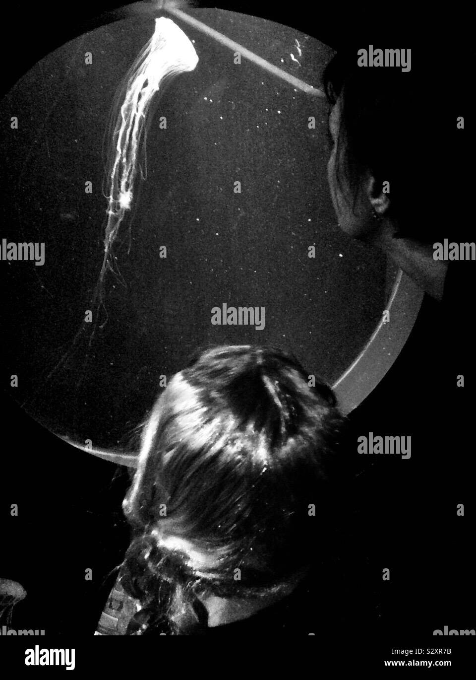 Observers hi-res stock photography and images - Alamy