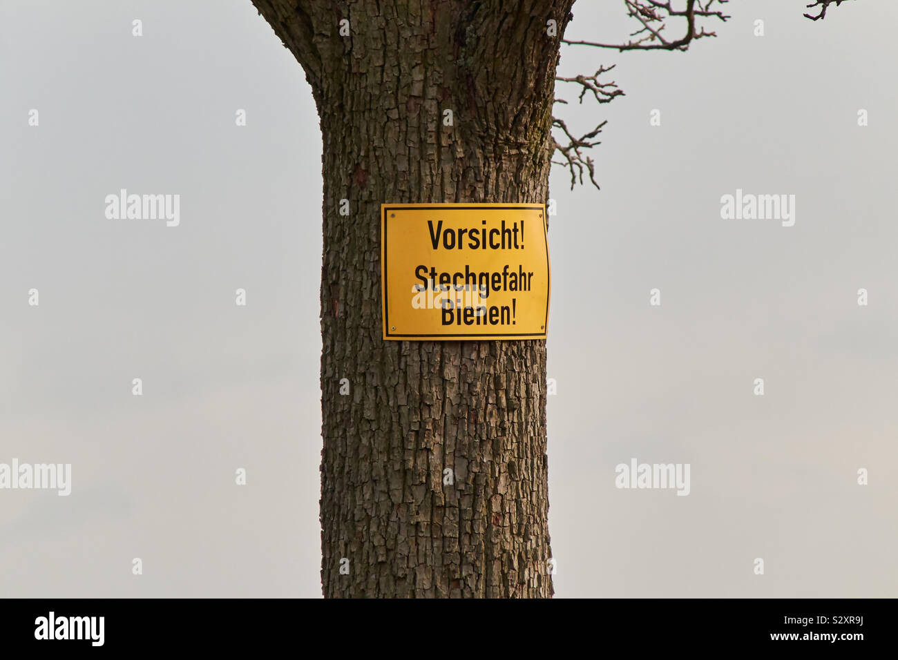 Tree trunk with yellow sign and German language , Attention. danger of ...