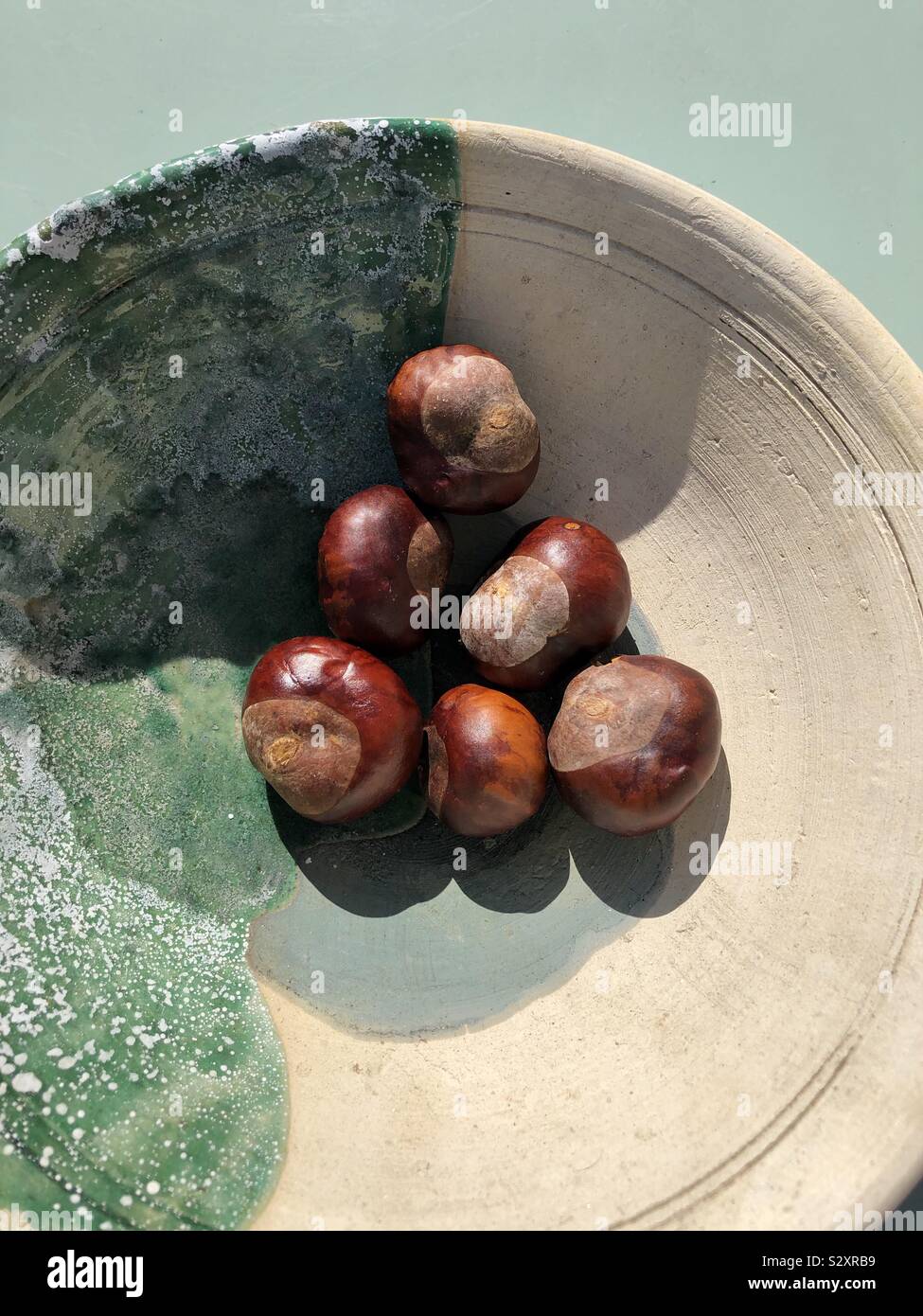 Conker fall hi-res stock photography and images - Alamy