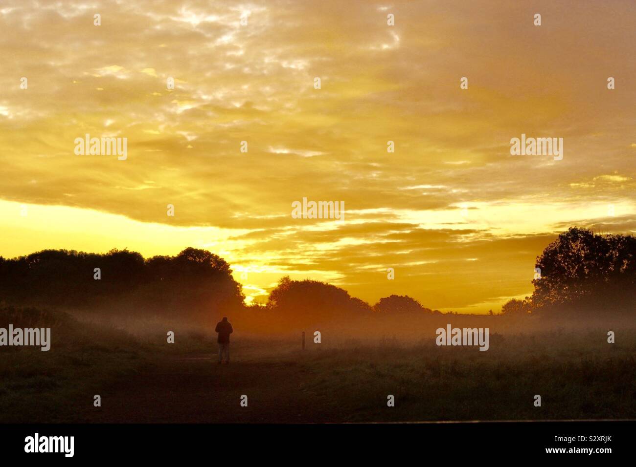 Man walking into fog hi-res stock photography and images - Alamy