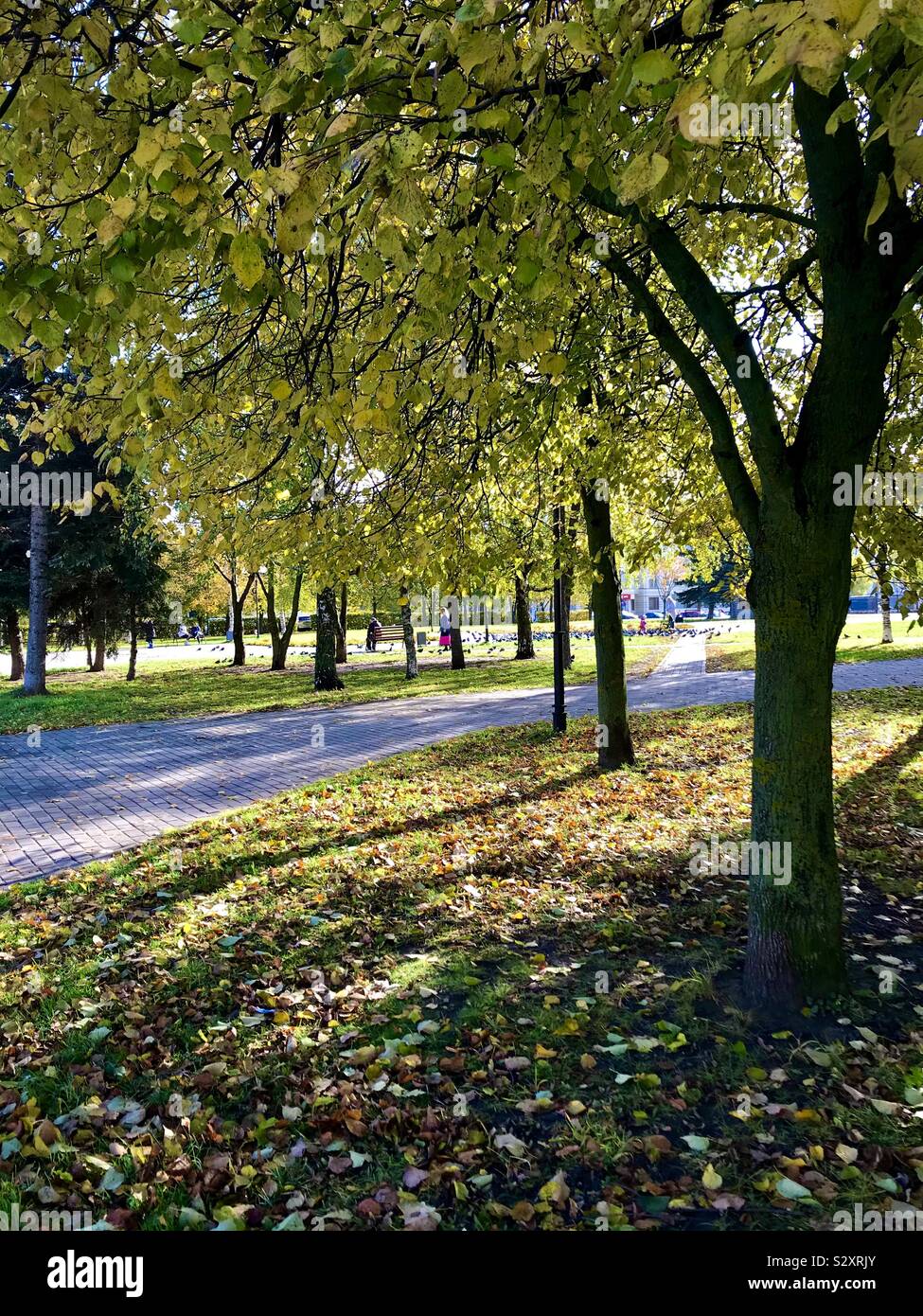 Bright sunny day in the city hi-res stock photography and images - Alamy