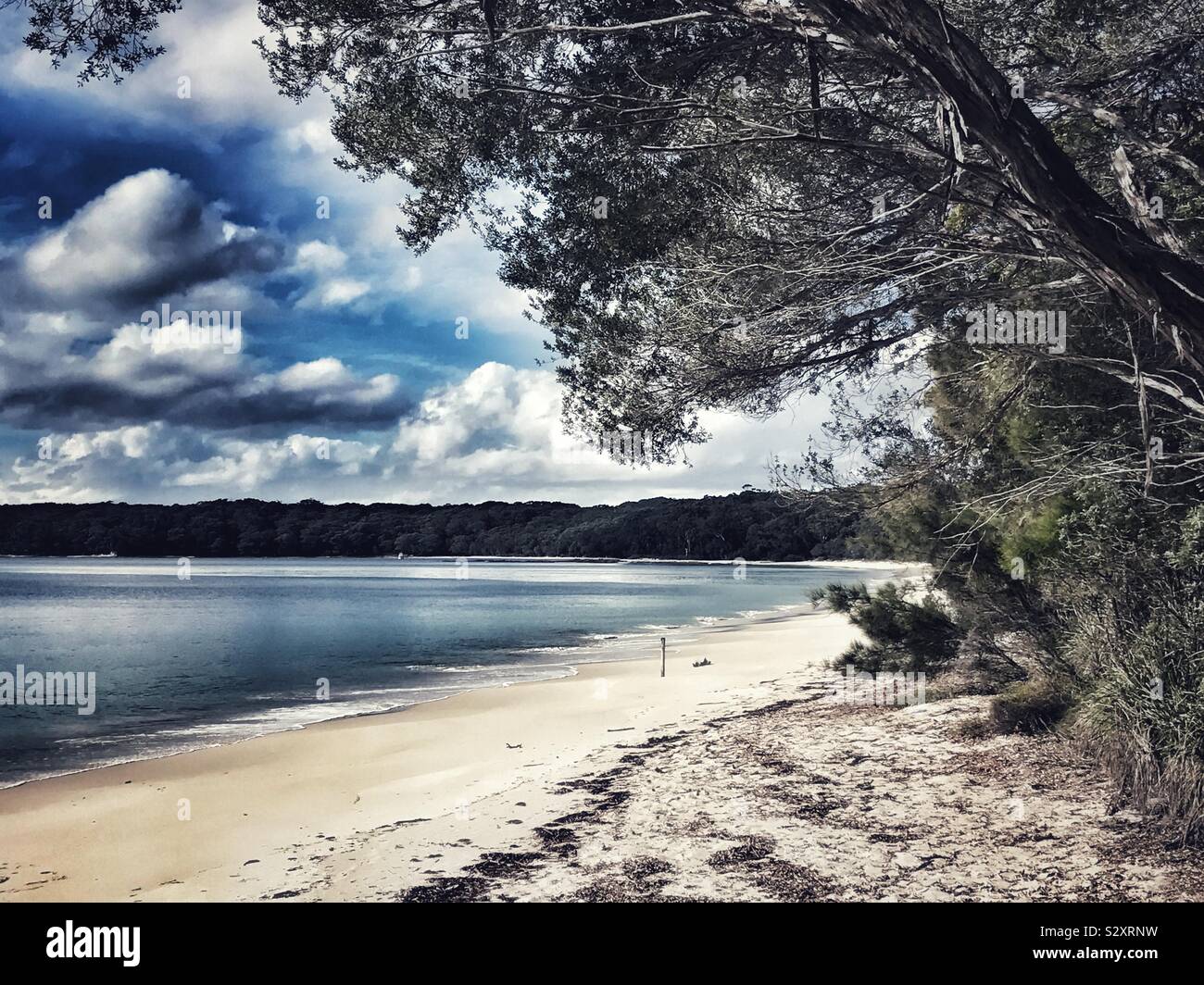 Sandy beach in Australia Stock Photo - Alamy
