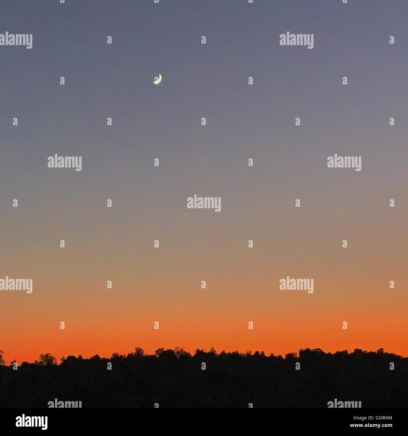 Crescent moon at sunset Stock Photo - Alamy