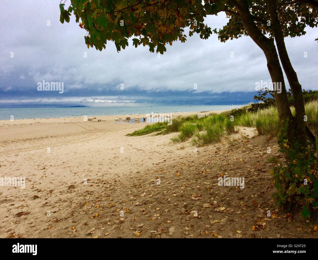 Studland bay sand dunes hi-res stock photography and images - Alamy