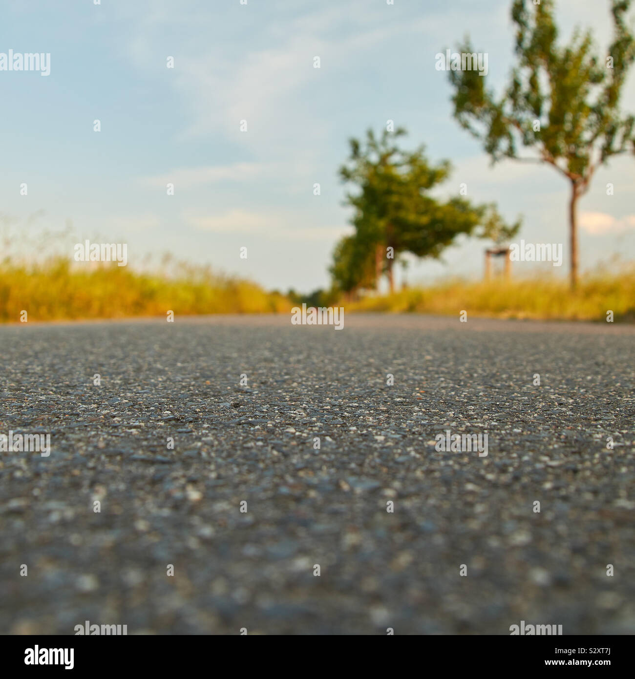 View from the ground of a road or path from a very low perspective with ...