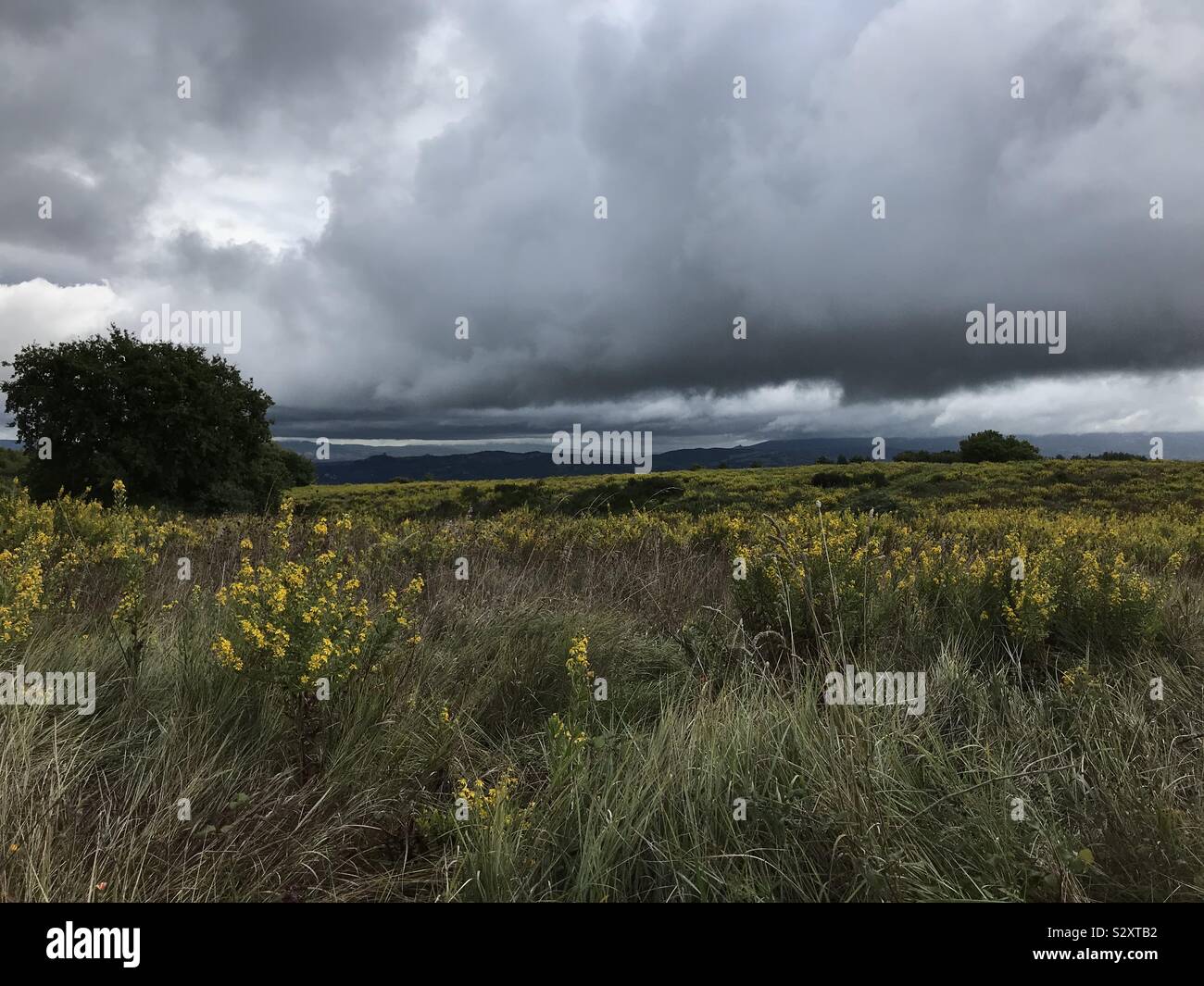 Thunderstorm field hi-res stock photography and images - Alamy