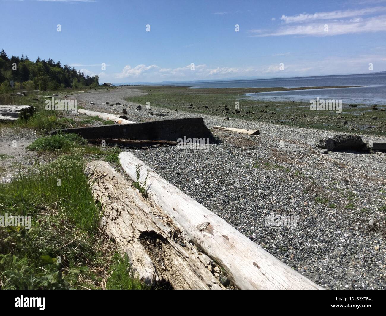 Elwha river hi-res stock photography and images - Alamy