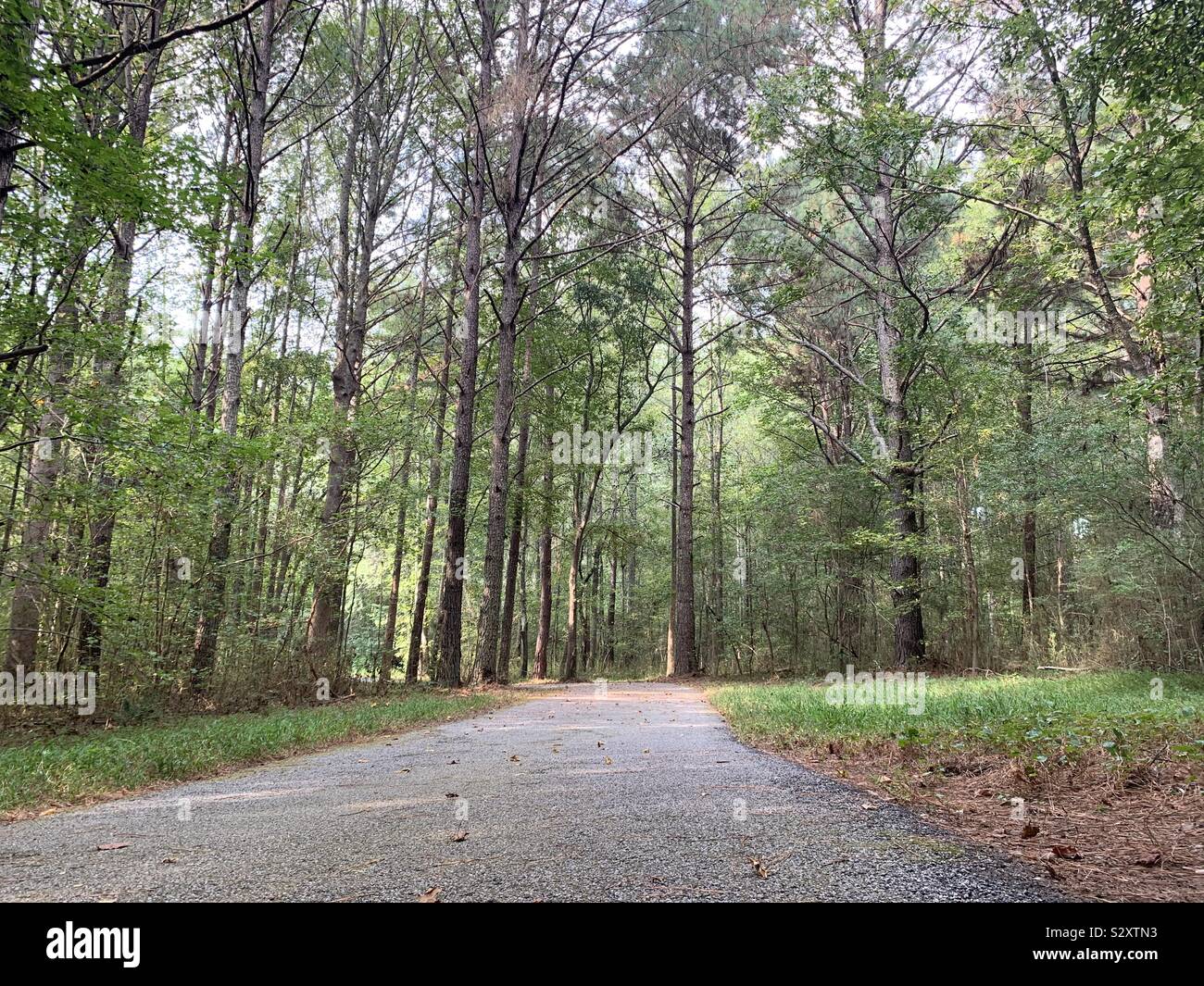 Clear path hi-res stock photography and images - Alamy